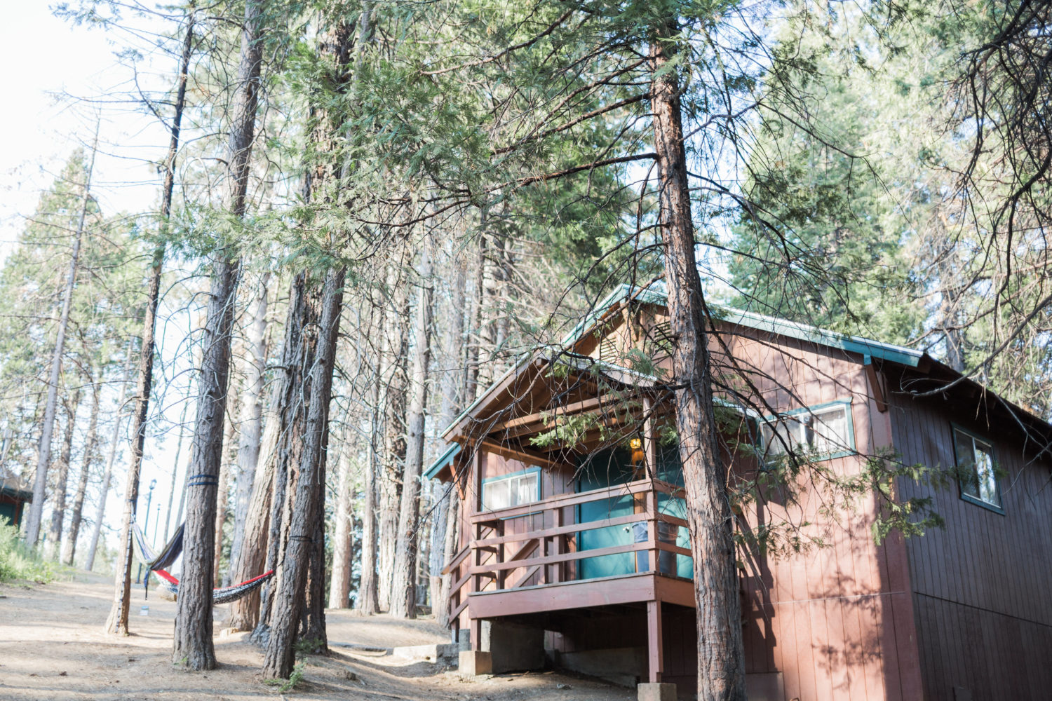 Discovery Day Camp - Calvin Crest - Summer Day Camp in Oakhurst CA