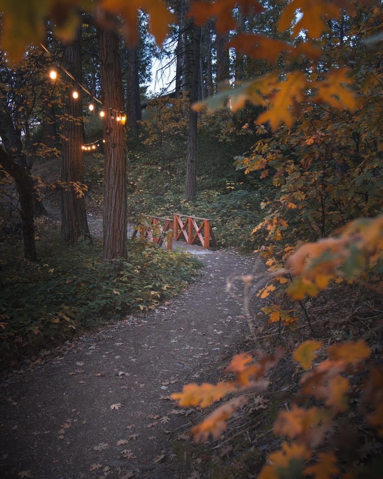 Fall Crest Fest - Calvin Crest - Free Family Friendly Event