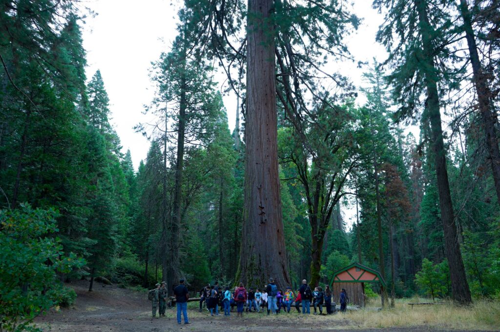 Outdoor School Overview - Calvin Crest